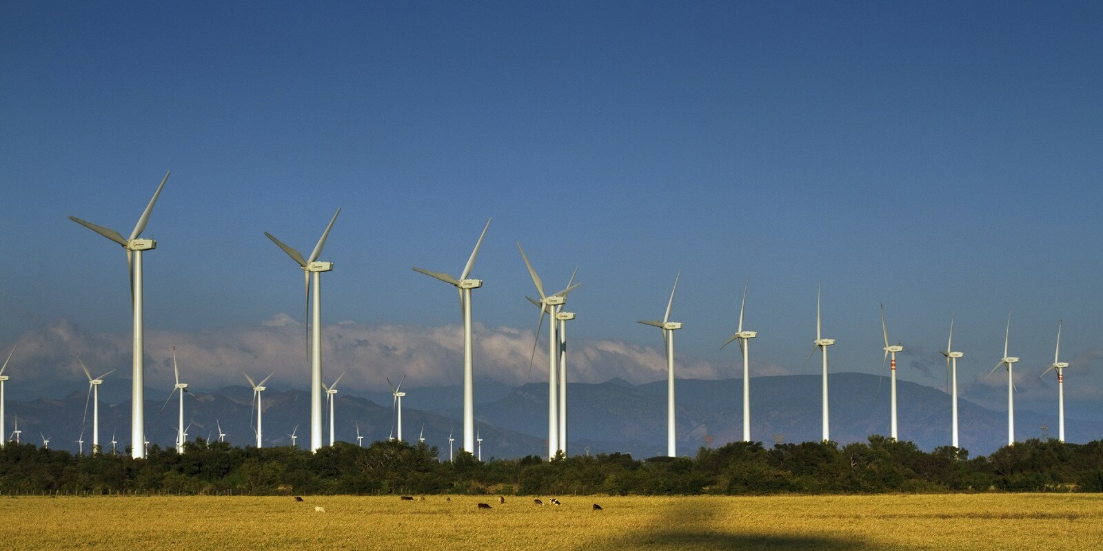 ACCIONA supports Banco Santander’s carbon neutrality target through its ...