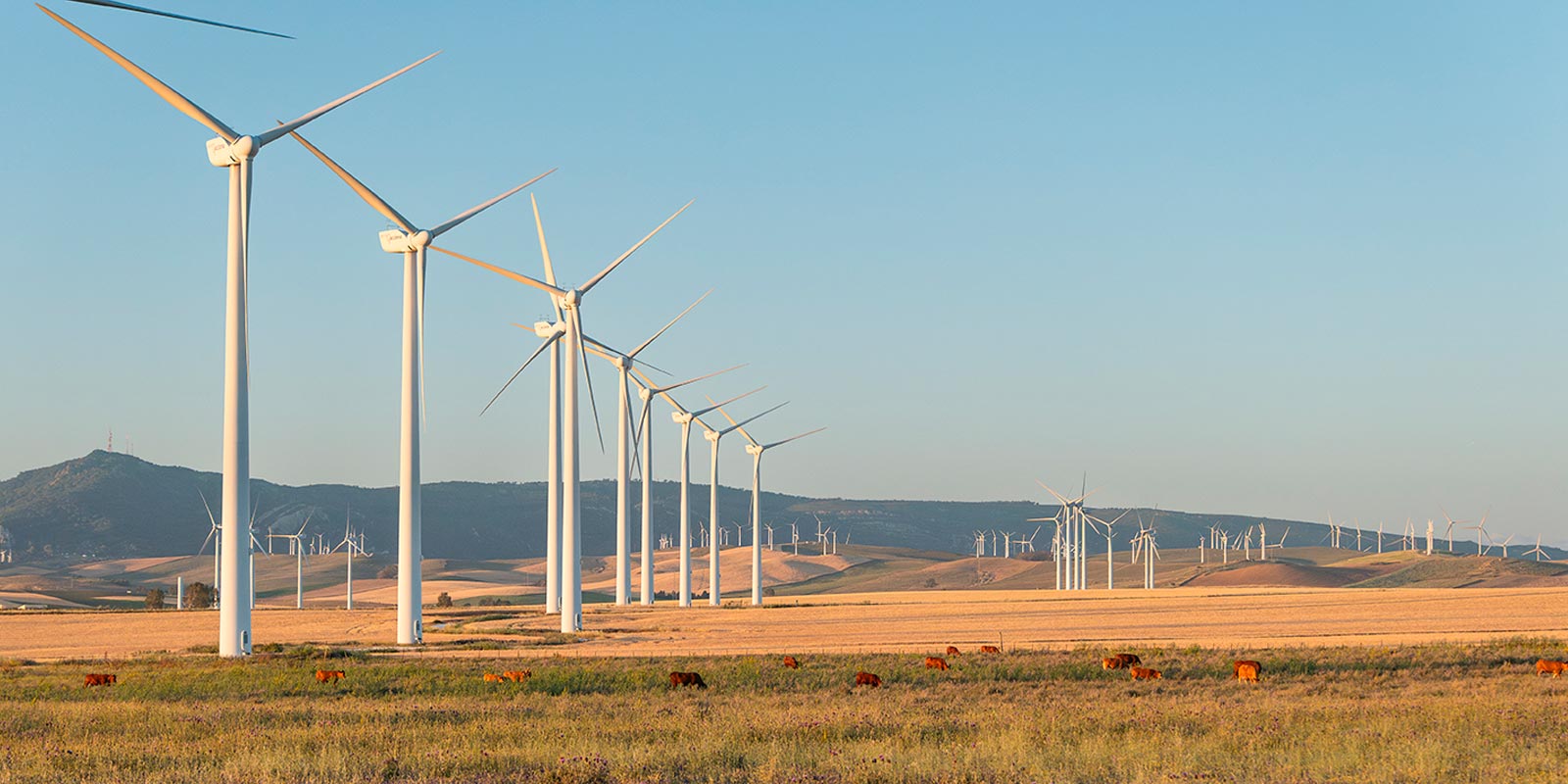 ACCIONA Energía repowers the Tahivilla wind farm