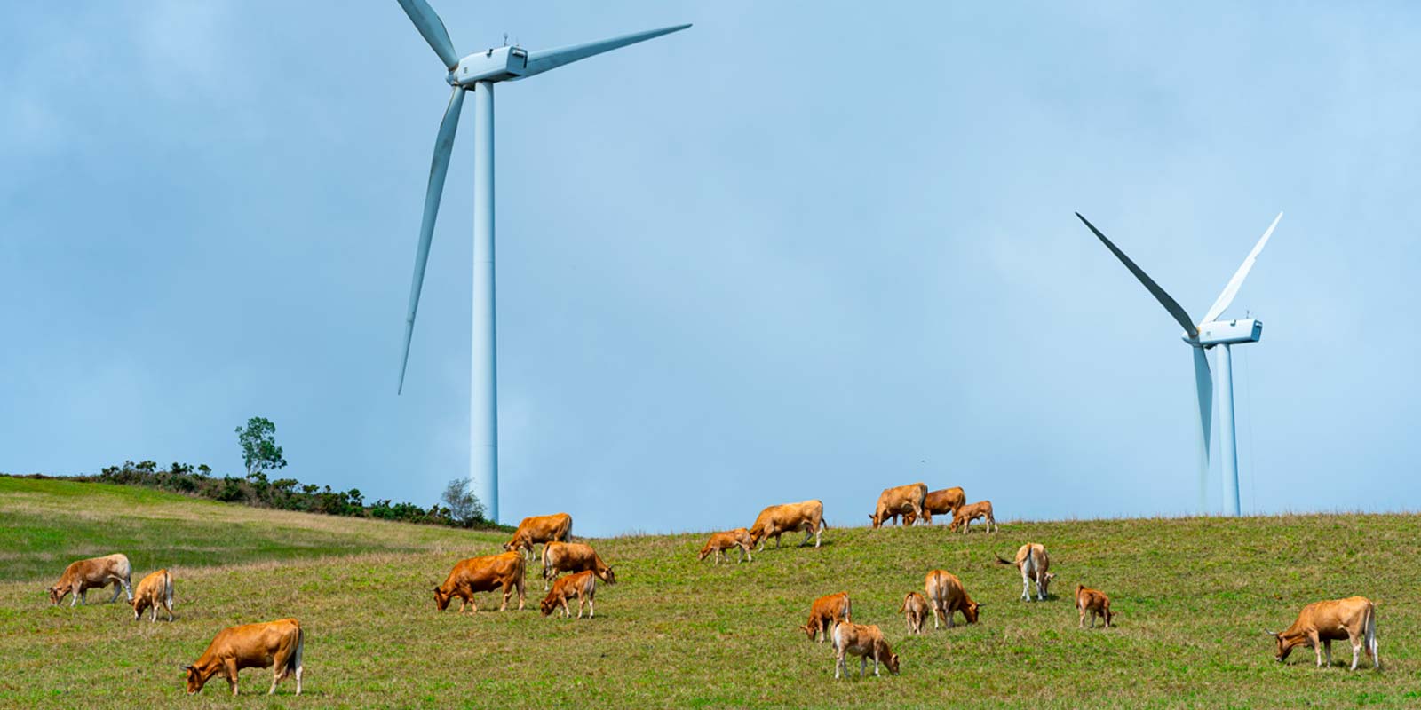 Two of ACCIONA Energía’s wind farms featured in the first Ecotourism ...